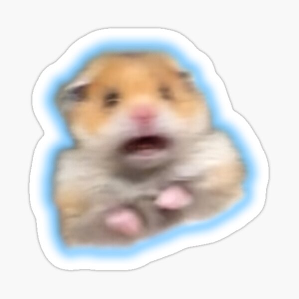 "Scared Hamster Meme Repeating Pattern" Sticker by meme-worthy | Redbubble