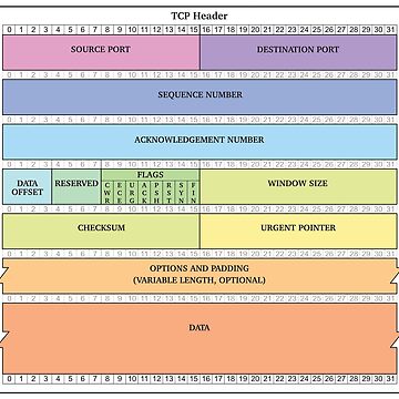 "TCP Header" Sticker for Sale by QuirkyTales | Redbubble