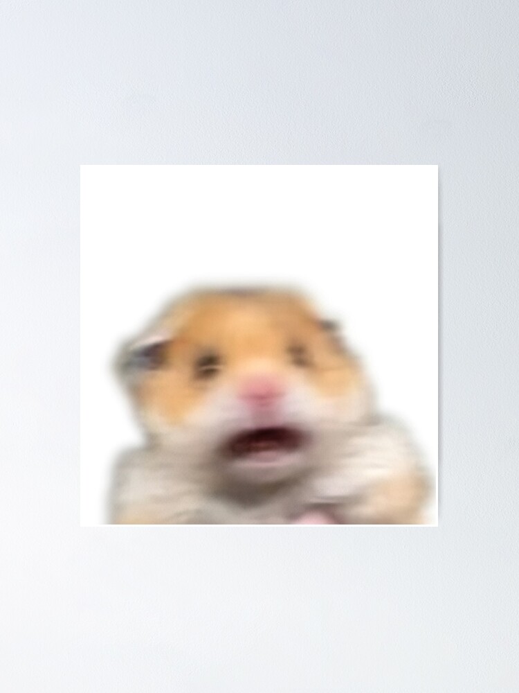 "Scared Hamster Meme Hiding at Bottom" Poster for Sale by meme-worthy ...