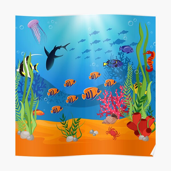 "Cute Sea Animals Aquatic Spectrum | Under water life | Under water ...
