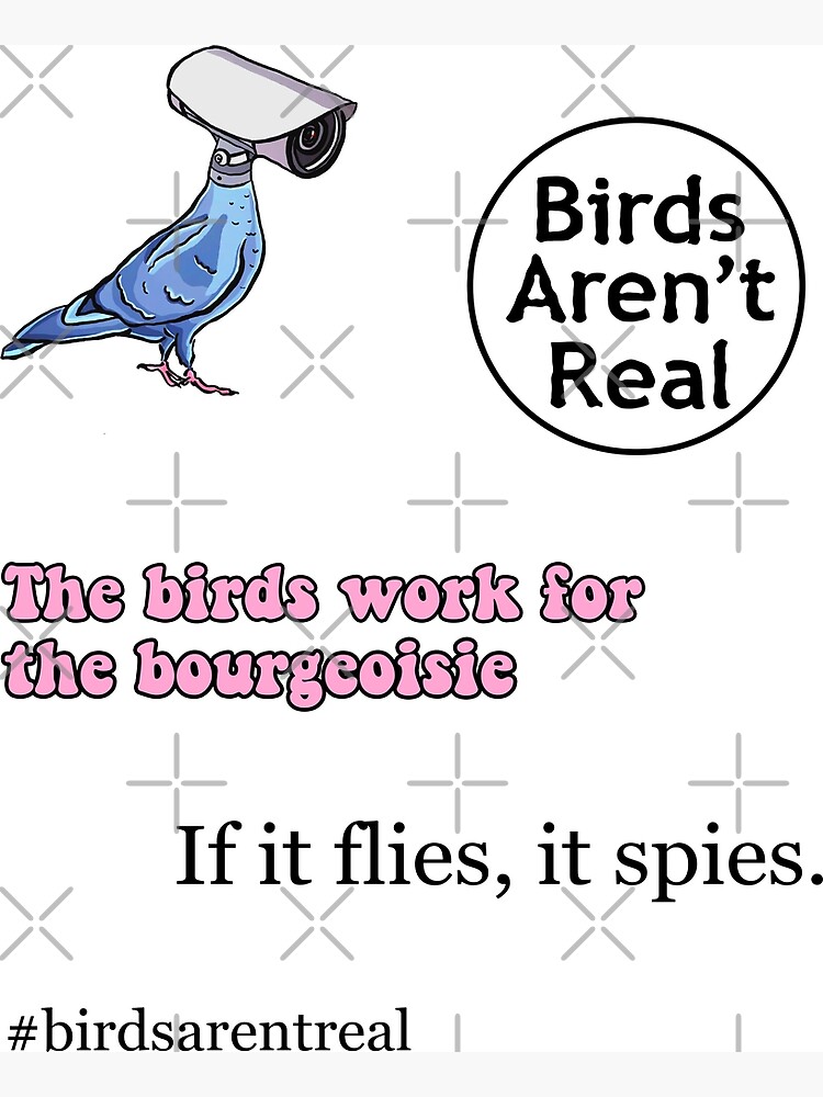 "Birds Arent Real Pack " Poster for Sale by DvCreations | Redbubble