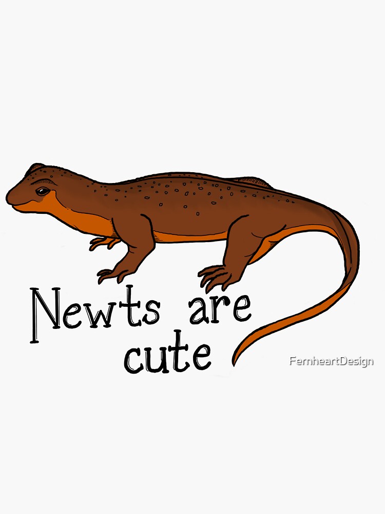 "Newts Are Cute" Sticker by FernheartDesign | Redbubble