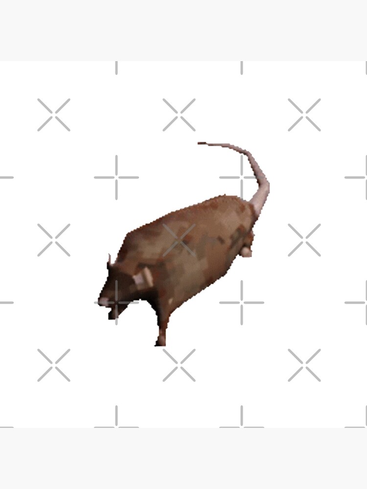 "Spinning Rat Meme" Art Print for Sale by beeeboooop | Redbubble