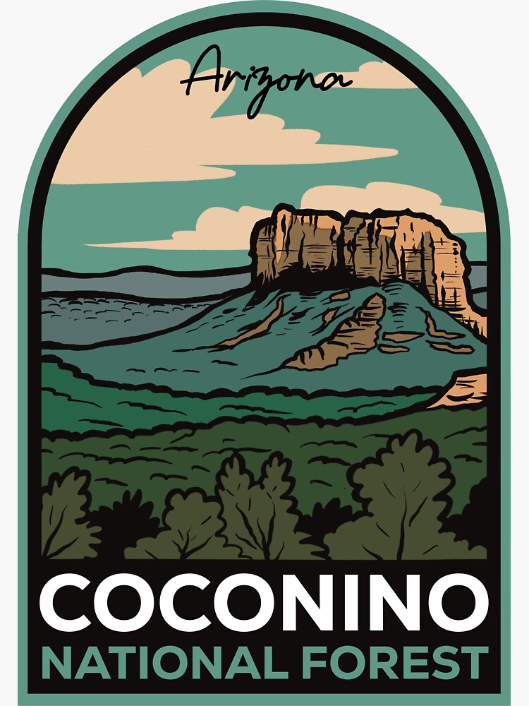 "Coconino National Forest Arizona Vintage" Sticker for Sale by ...
