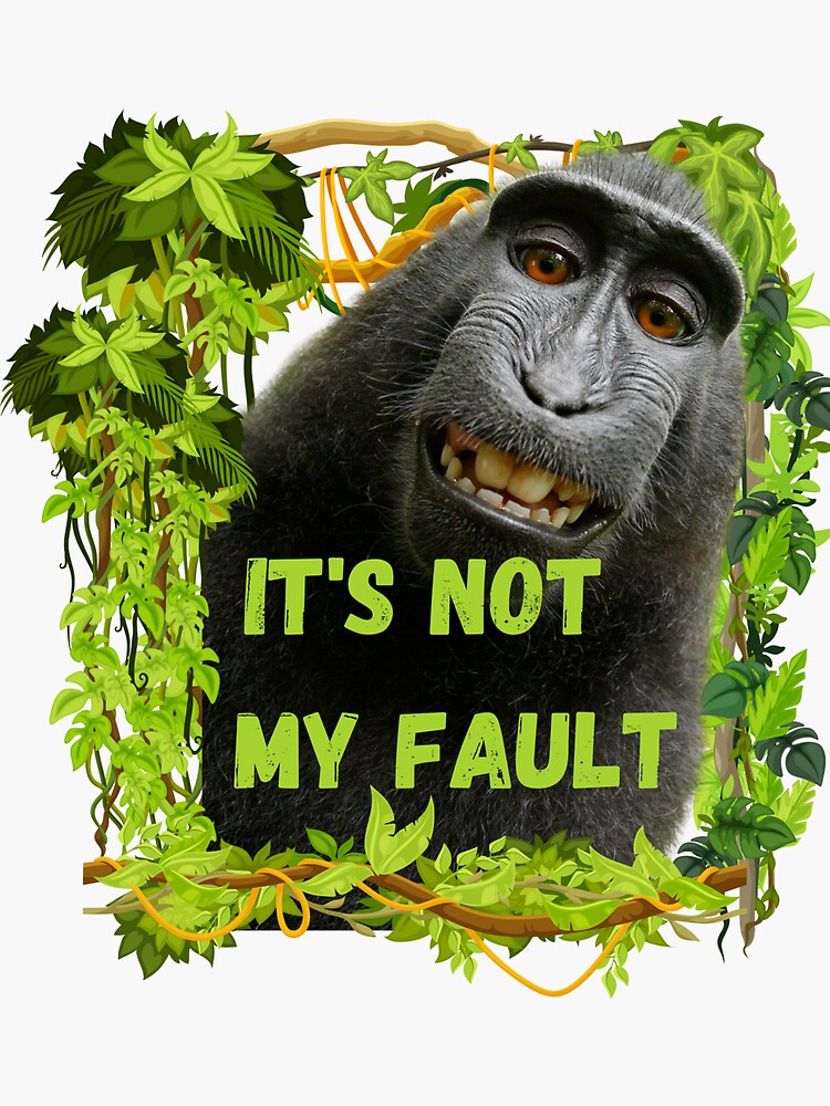 "It's not my fault" Sticker for Sale by vsaenz | Redbubble
