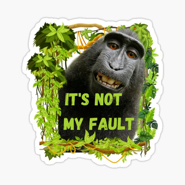 "It's not my fault" Sticker for Sale by vsaenz | Redbubble
