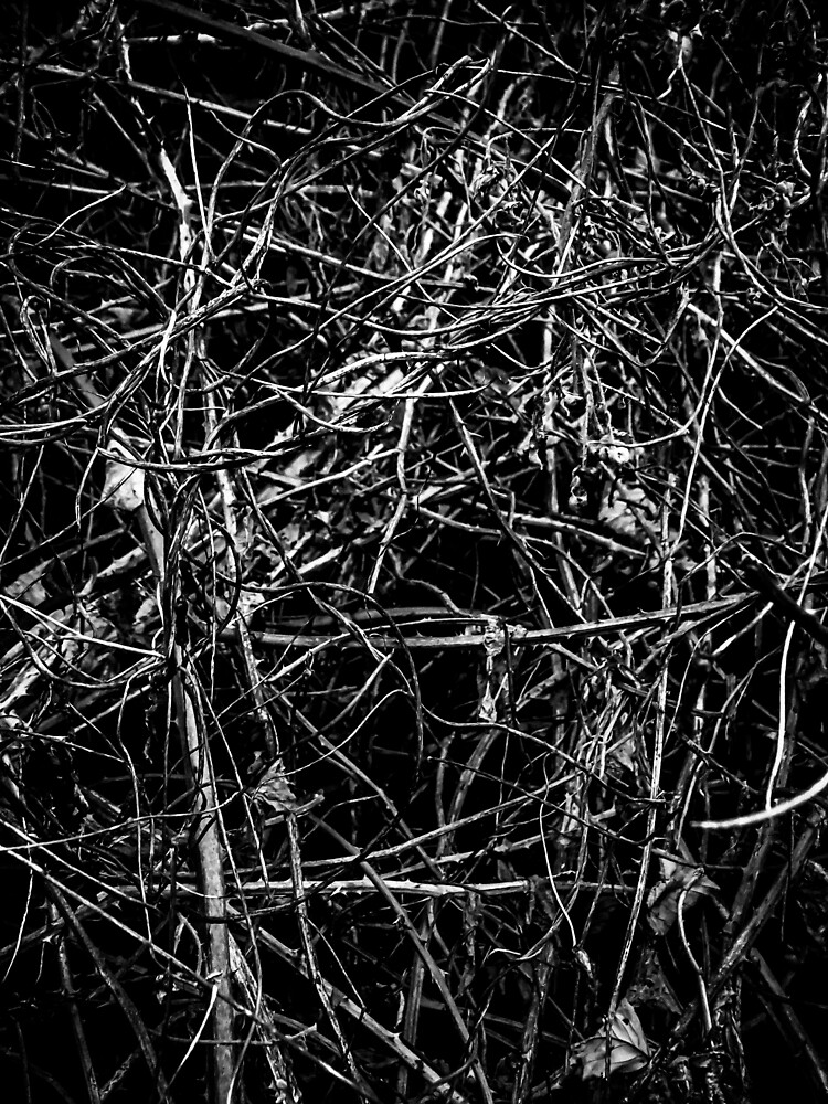 "West Coast: Bramble's Bite" Poster by Chancelrie | Redbubble