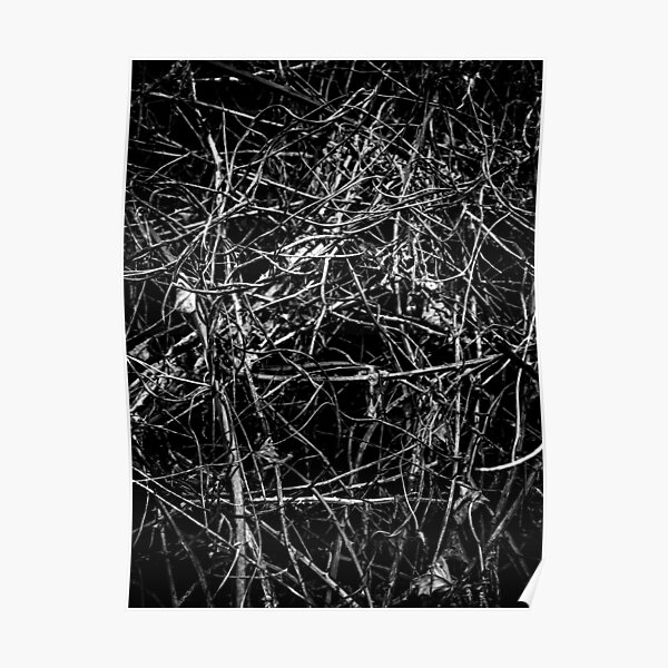 "West Coast: Bramble's Bite" Poster by Chancelrie | Redbubble