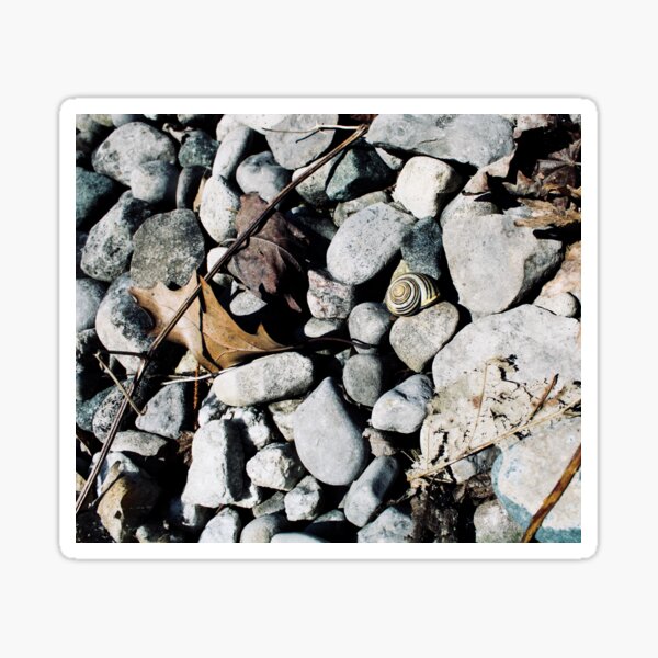 "Snail Shell & Stones" Sticker for Sale by RoseyElisabeth | Redbubble
