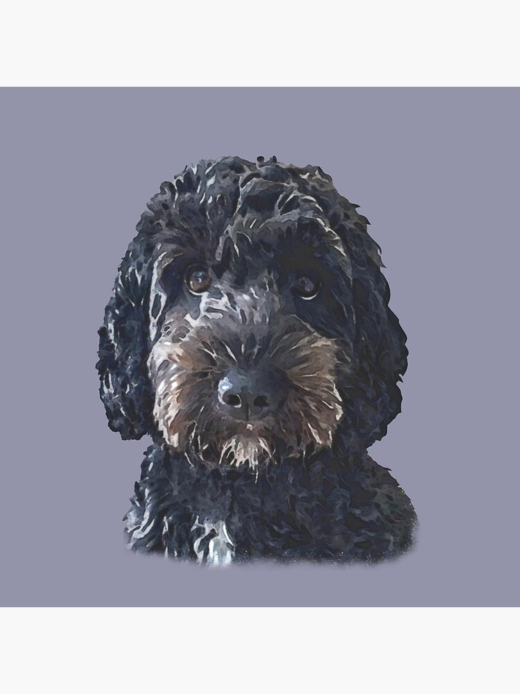 "Black Cockapoo / Doodle Dog" Pillow for Sale by Moira Savage | Redbubble