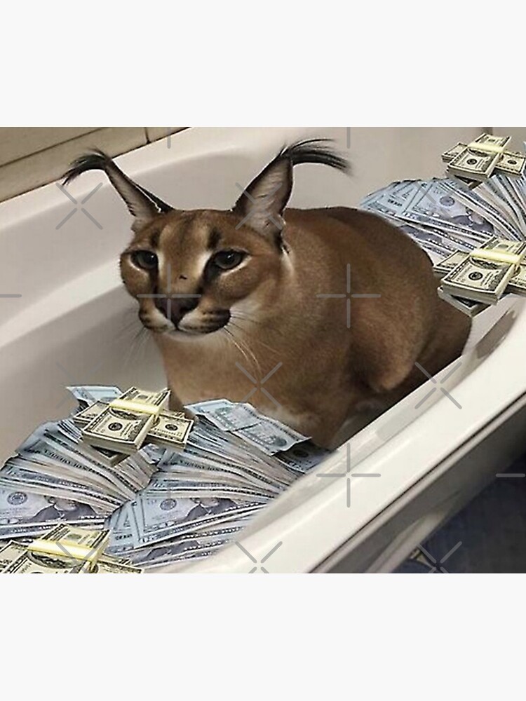 "Big Floppa cash" Art Print for Sale by Thomass770 | Redbubble