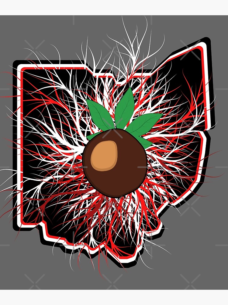 "Ohio Buckeye Roots" Poster for Sale by krissy43231 | Redbubble