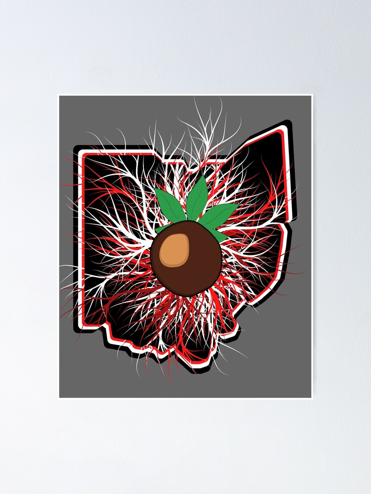 "Ohio Buckeye Roots" Poster for Sale by krissy43231 | Redbubble