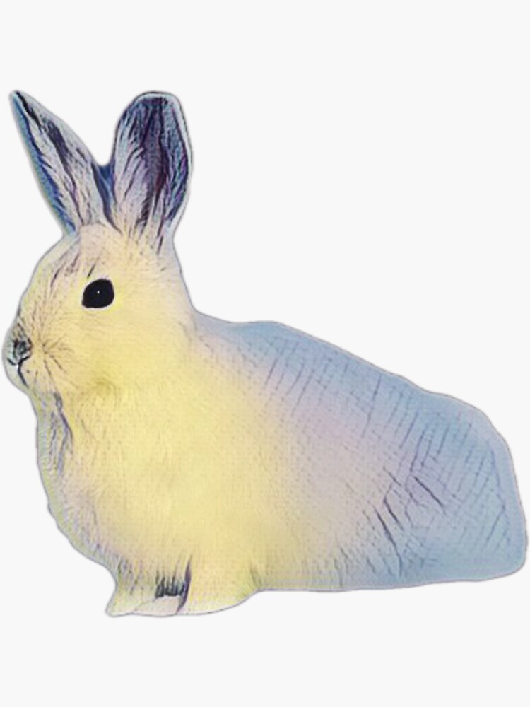 "White Bunny Art" Sticker for Sale by CuteAnimals121 | Redbubble
