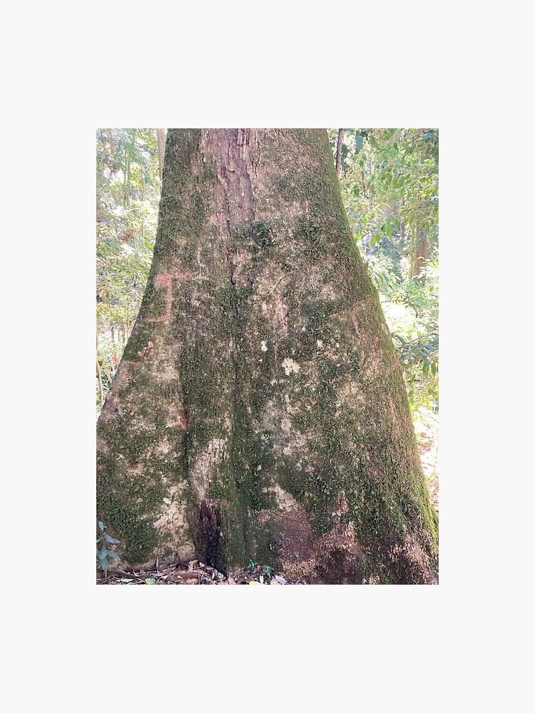 "Moss" Sticker for Sale by MellissaD76 | Redbubble
