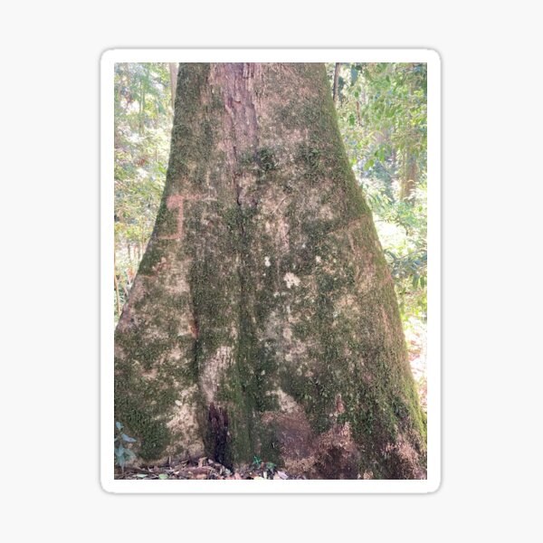 "Moss" Sticker for Sale by MellissaD76 | Redbubble