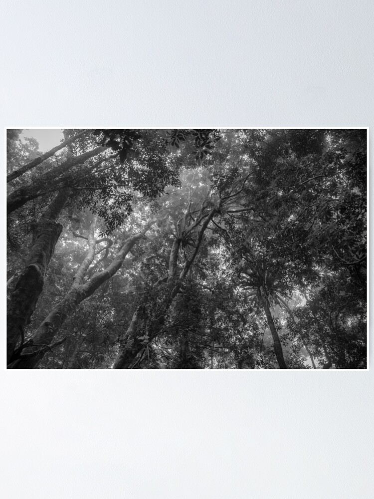 "Look Up again" Poster by colinsart | Redbubble