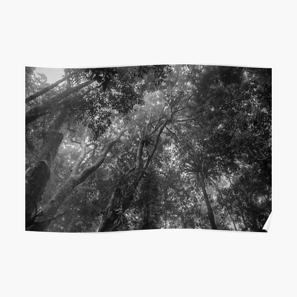 "Look Up again" Poster by colinsart | Redbubble