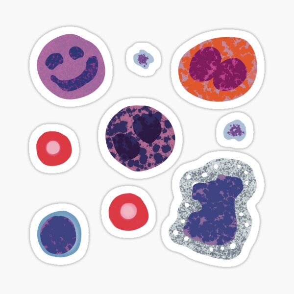 "Peripheral blood cells" Sticker by cute-fun-things | Redbubble