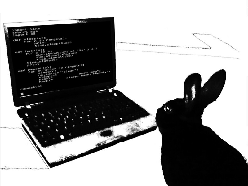 "Hack Rabbit" by JoyEVIL | Redbubble