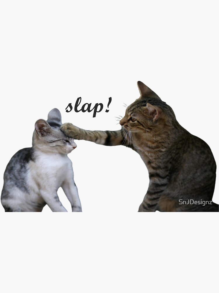 "Cat slapping cat" Sticker by SnJDesignz | Redbubble