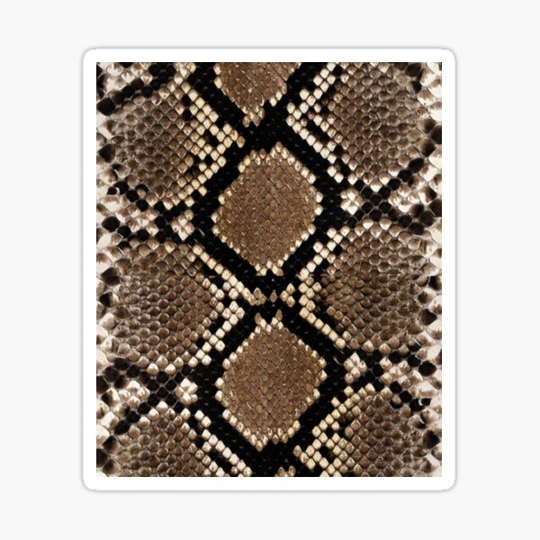 "Realistic Snake Print Design" Sticker for Sale by coastal-gallery ...