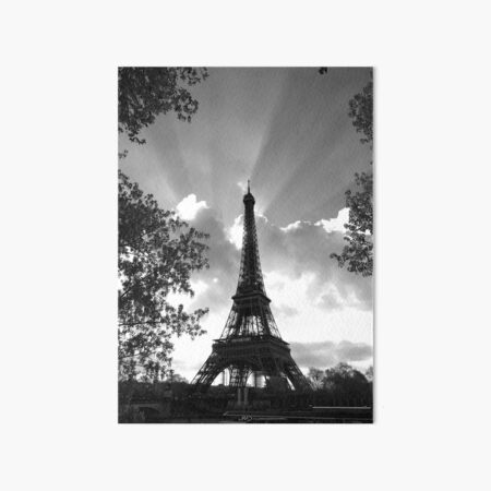 "SNJ-Today Paris-La Tour Eiffel & the flying bird-Black & White version ...