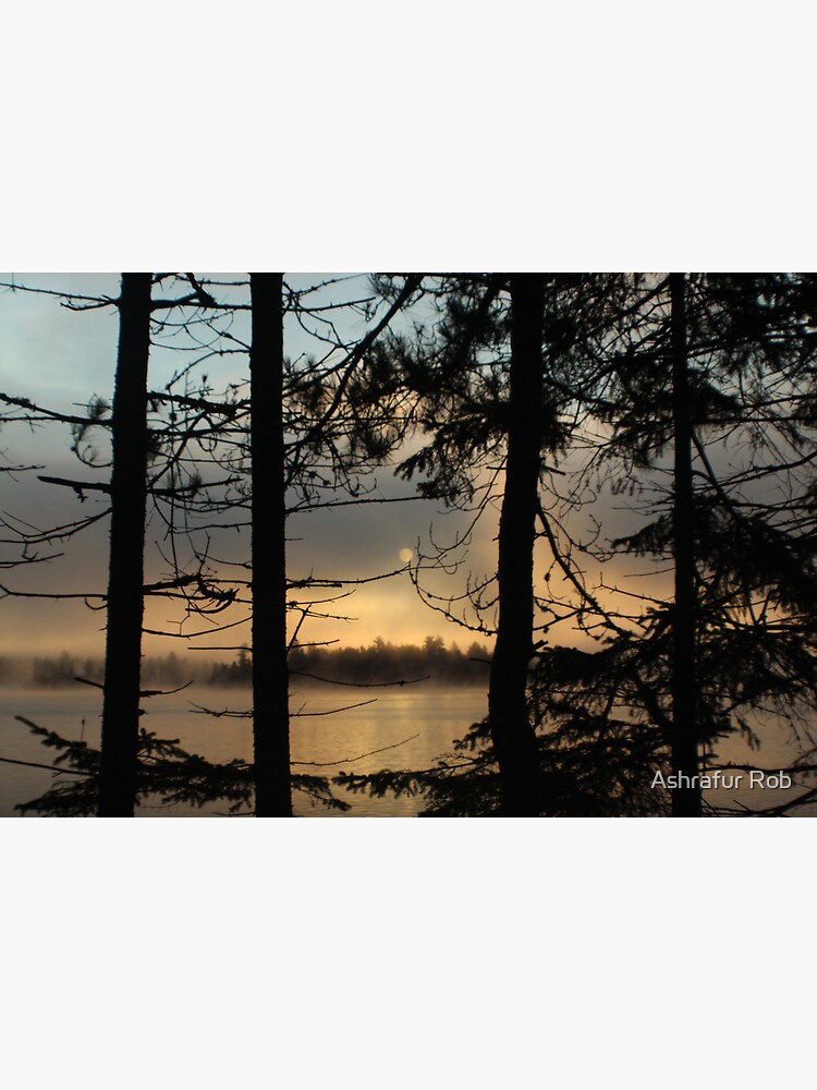 "dance of the trees" Sticker for Sale by PlaceboProds | Redbubble