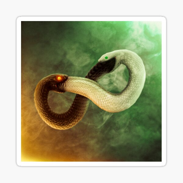 "snake infinity" Sticker for Sale by hmzaaerr | Redbubble