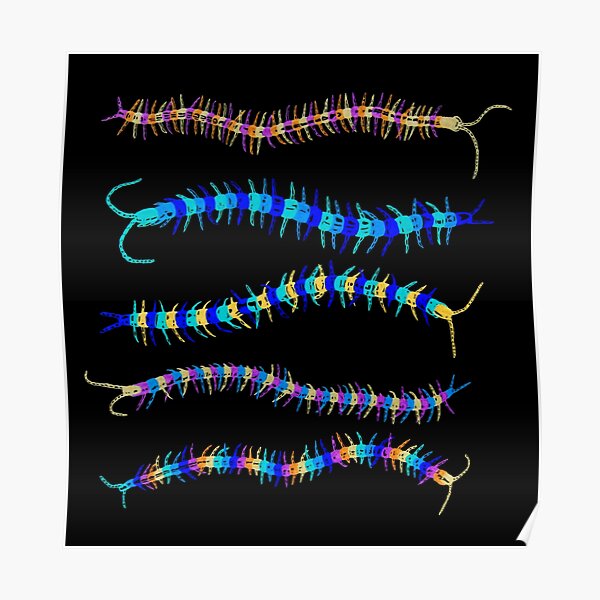 "Centipedes " Poster by RaLiz | Redbubble