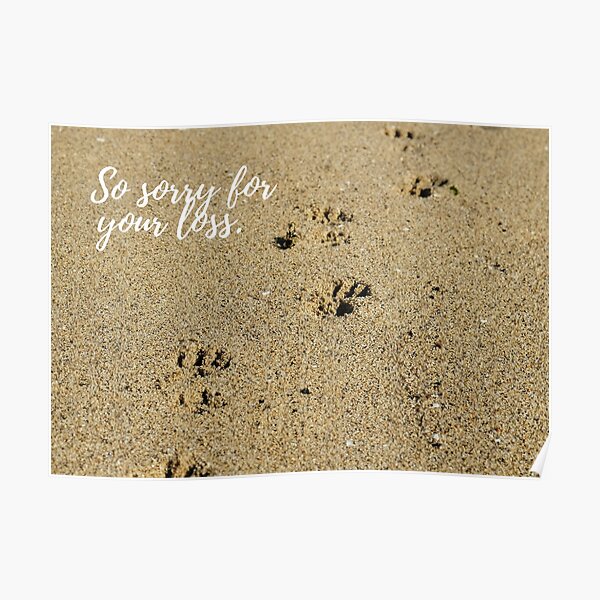 "So sorry for your loss I Paw Prints in the Sand I Pet Sympathy ...