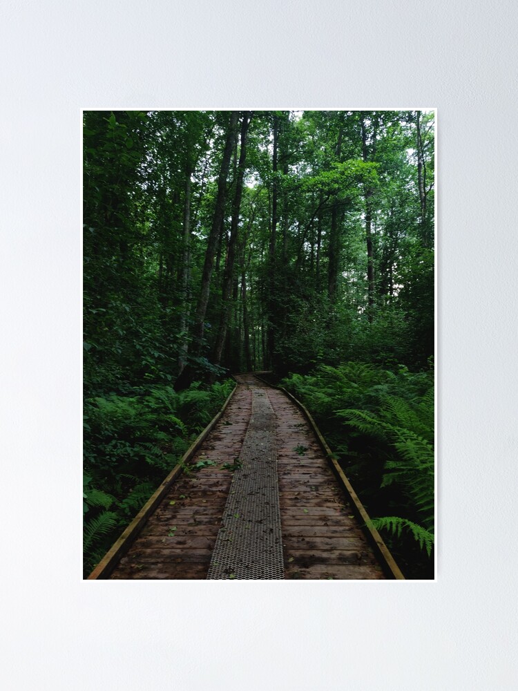 "Scandinavian Forest Path" Poster for Sale by CosmicCatPaw | Redbubble