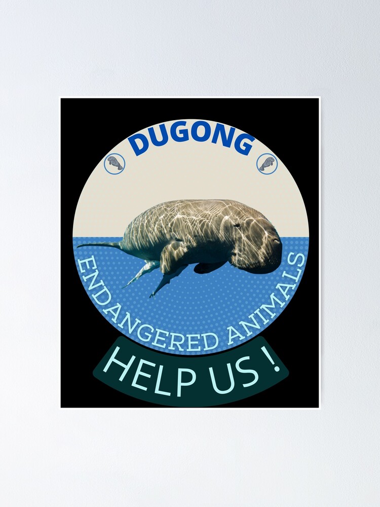 "Dugong Endangered Animals" Poster for Sale by yassooarts | Redbubble