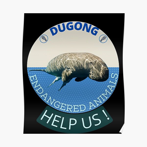 "Dugong Endangered Animals" Poster for Sale by yassooarts | Redbubble
