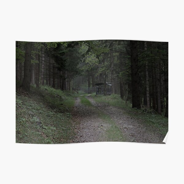 "FOREST44 #1" Poster for Sale by GradingerHeindl | Redbubble