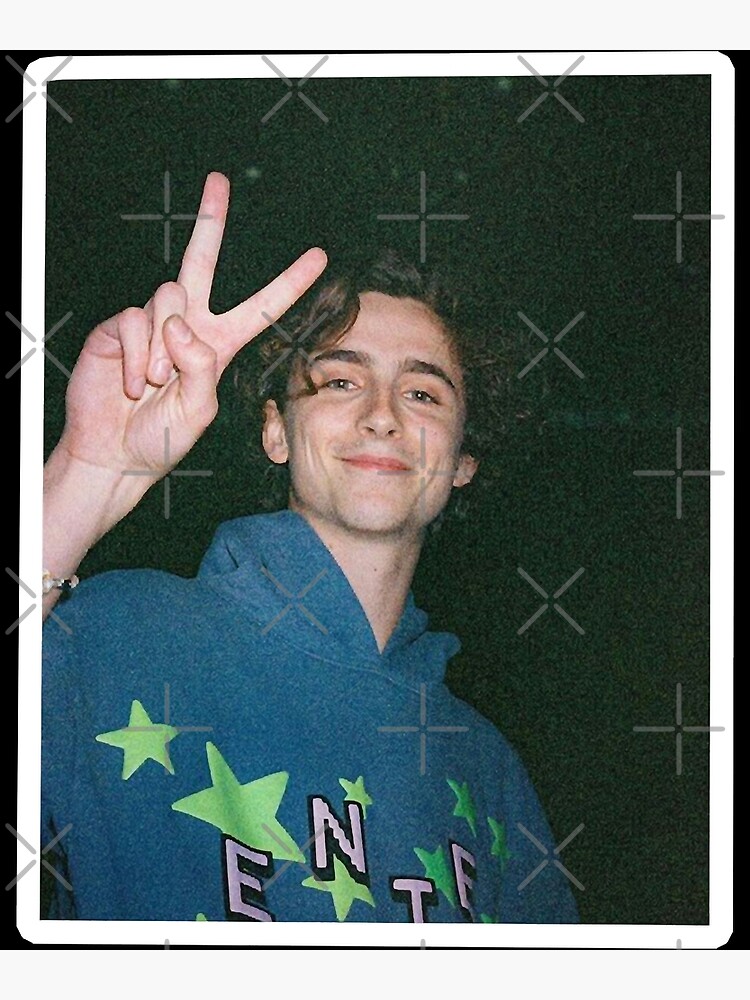 "Love Funny Man Timothee Chalamet Gifts For Everyone" Poster for Sale ...