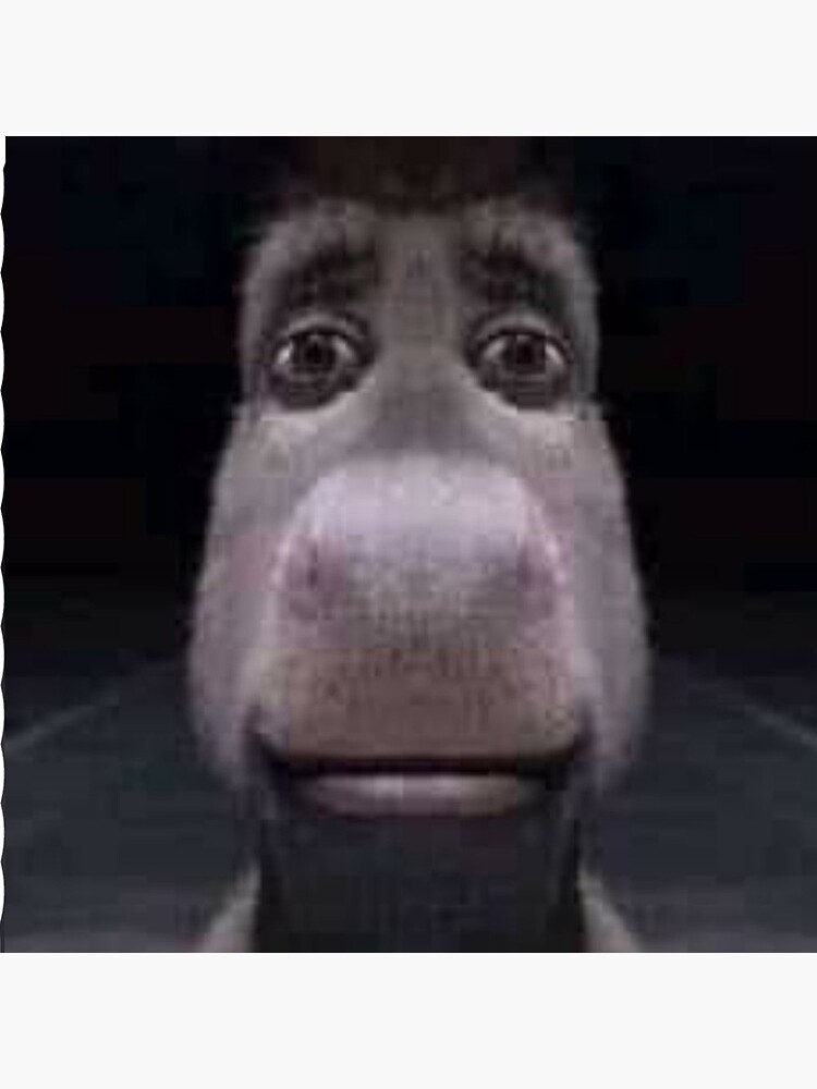 Meme Burro Shrek VIDEO] Primeras Imágenes De SHREK 5 Despiertan