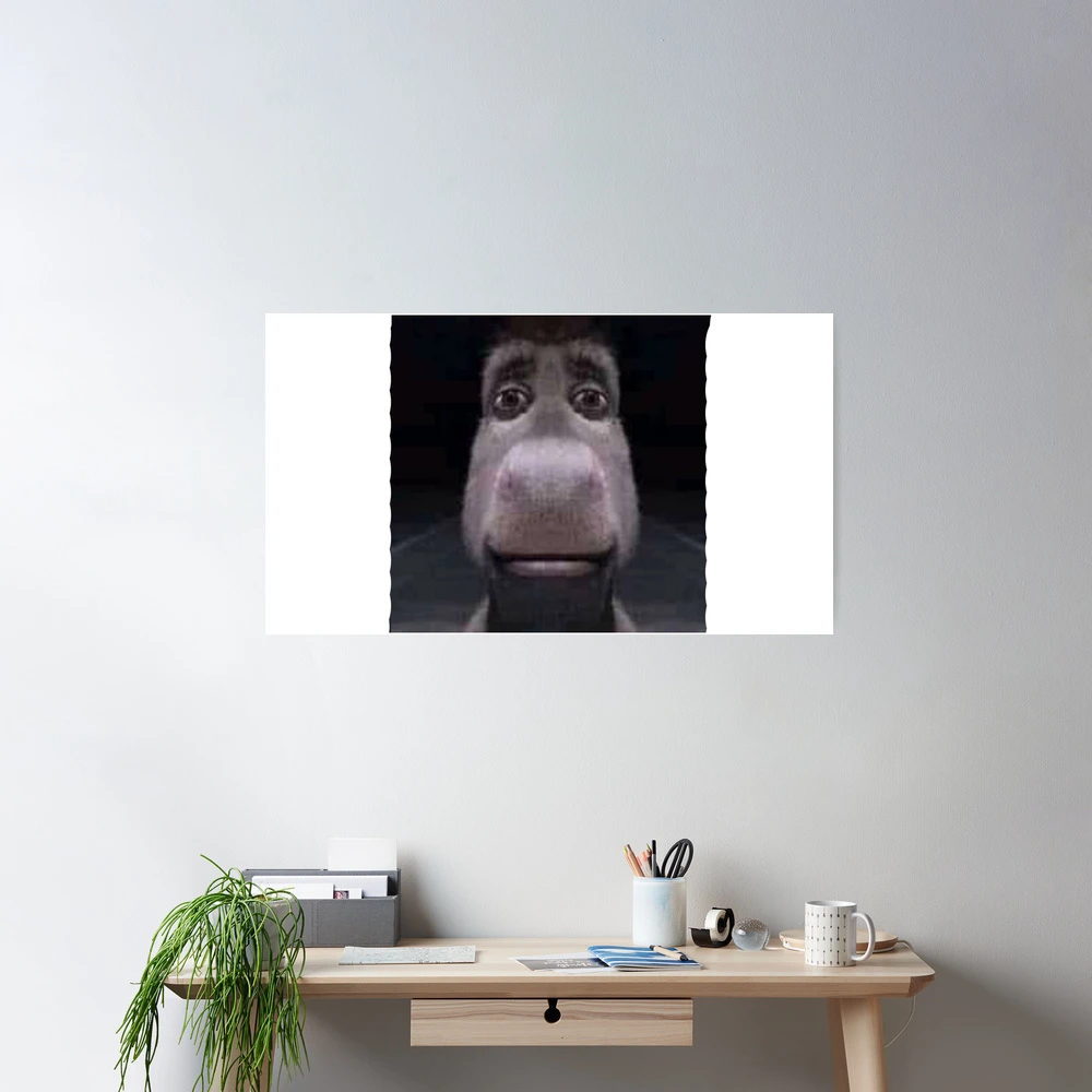 Shrek Ezel Meme Ezel Sherk/Donkey / Plaatjes | Vliegende Ezels