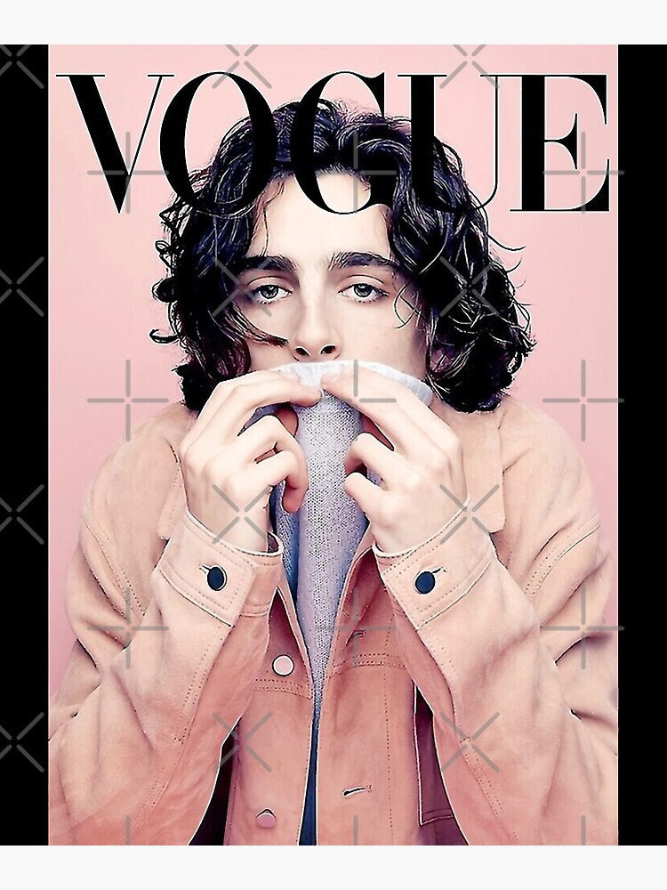 Vintage Photograp Timothee Chalamet Idol Gifts Fot You Premium Matte ...