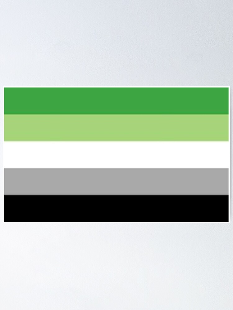 "Aromantic Pride Flag" Poster for Sale by marsma11ow | Redbubble