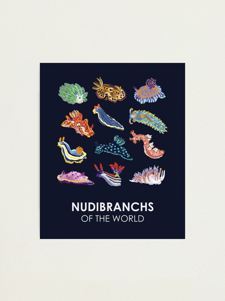 "Nudie Cuties" Photographic Print for Sale by softbiology | Redbubble