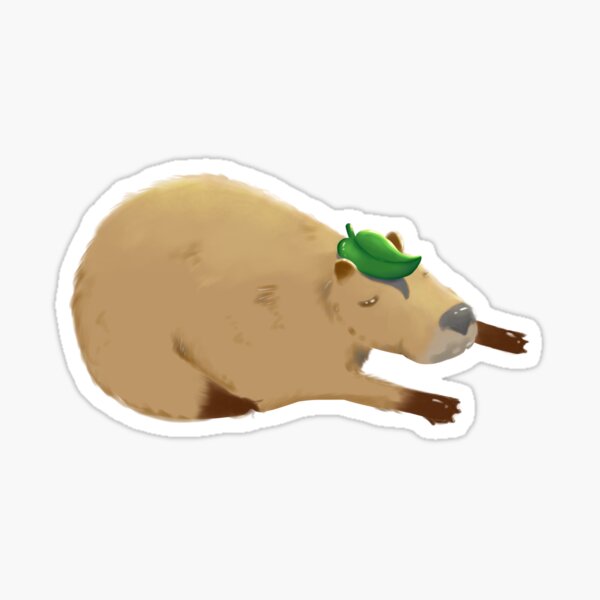 "Sleeping capybara leaf hat" Sticker by Geraldine-N | Redbubble