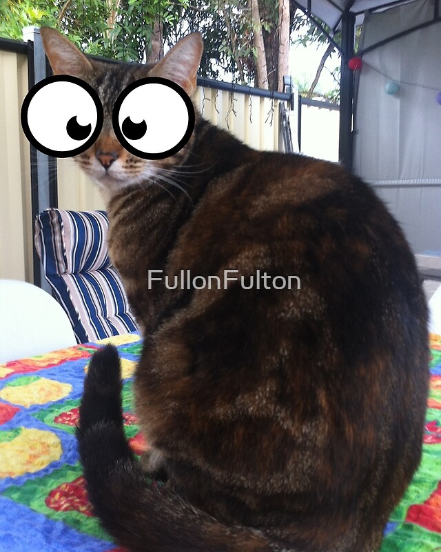 "Googly Eyed Cat" by FullonFulton | Redbubble