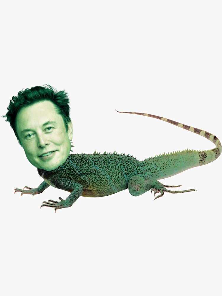 "Lizard Elon Musk" Sticker for Sale by M1lkslyvan | Redbubble