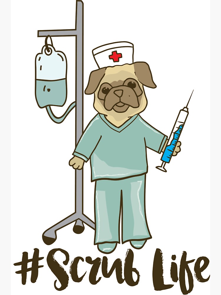 "Scrub Life - Nurse Pug dog pet nursing LVN RN BSN nurse practitioner ...
