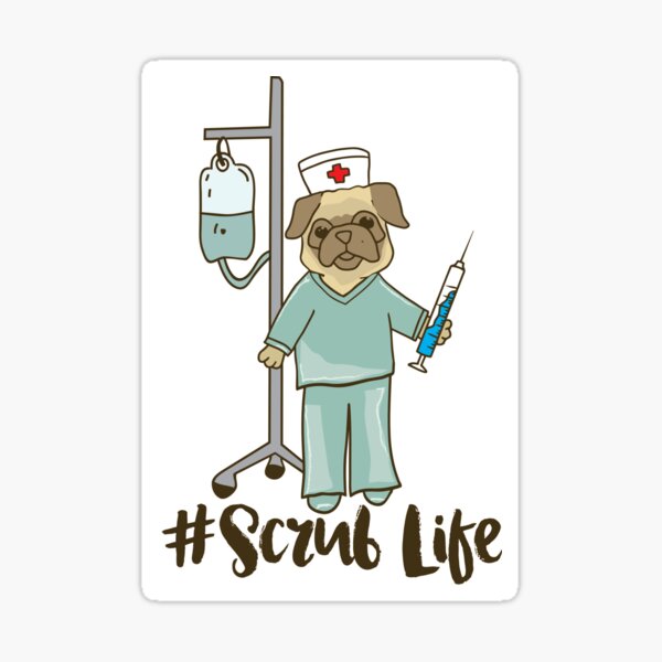 "Scrub Life - Nurse Pug dog pet nursing LVN RN BSN nurse practitioner ...