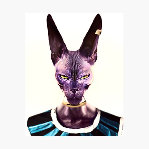 Beerus Wall Art | Redbubble
