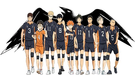 "Team Karasuno" Poster von adienputria | Redbubble