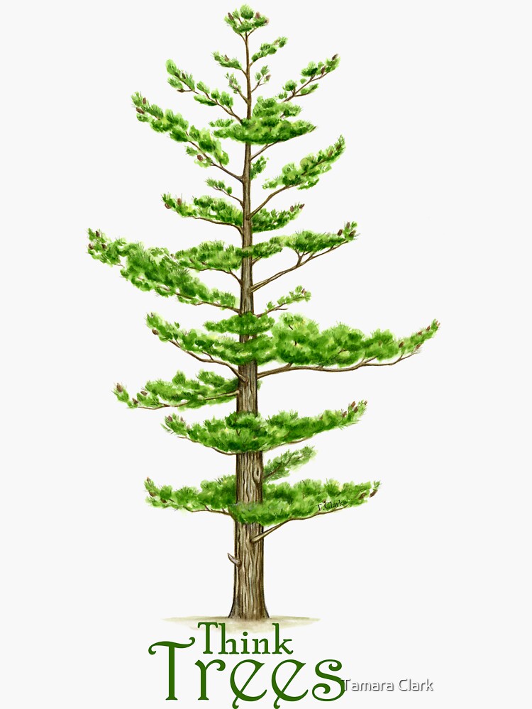 "Think Trees" Sticker for Sale by edenart | Redbubble