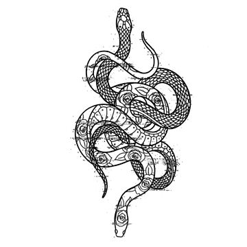 "Double snake glitch" Poster for Sale by UmbraFox | Redbubble